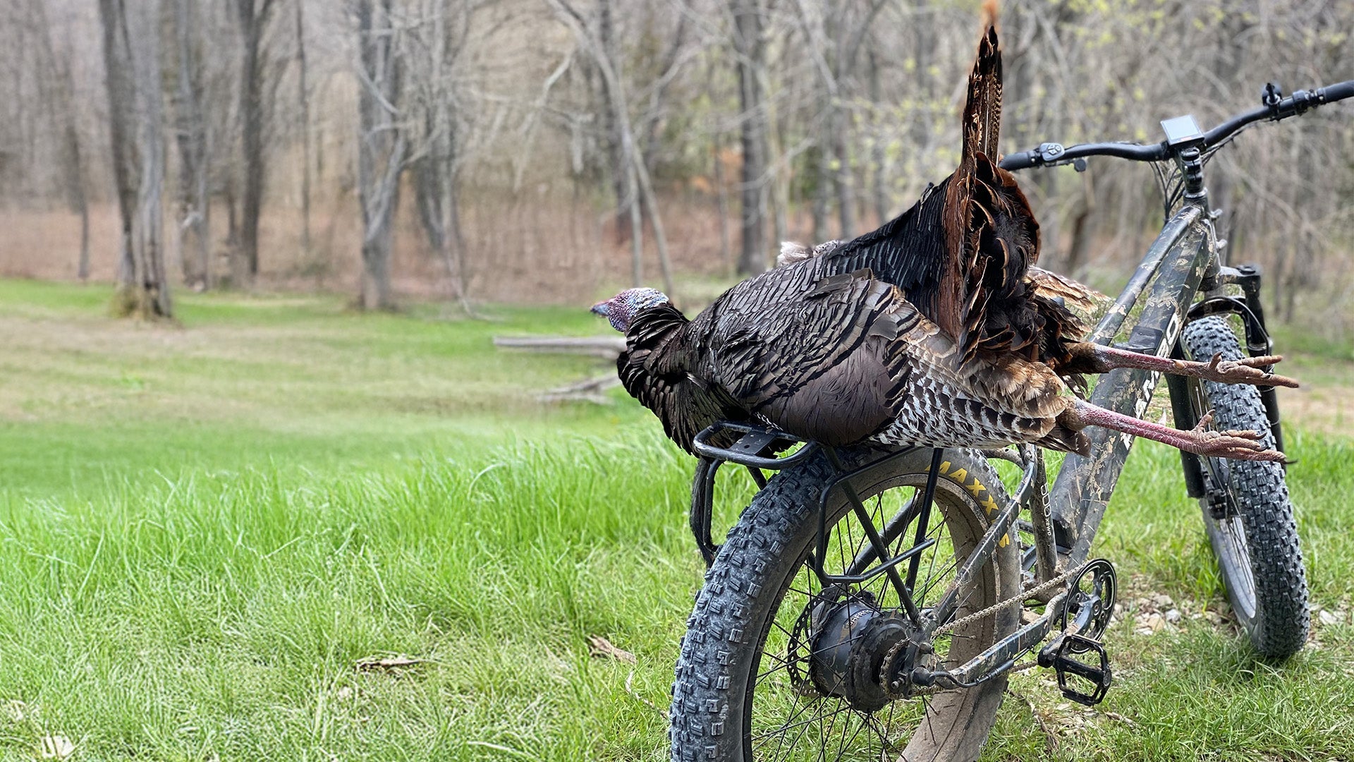 Spring Turkey Sale – Rambo Bikes